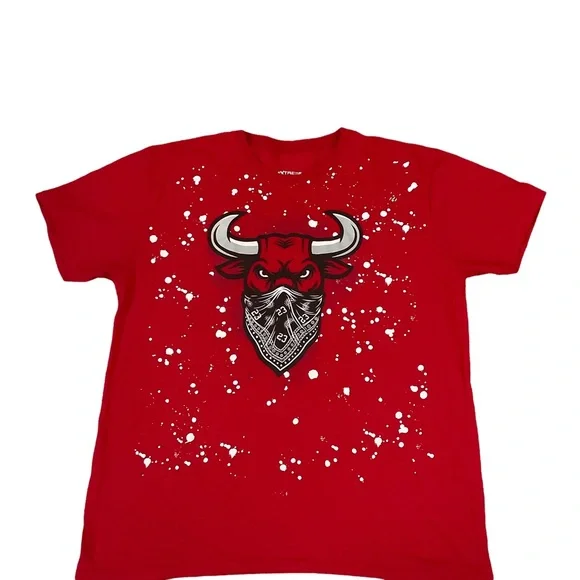 Chicago Bulls Bandana Logo